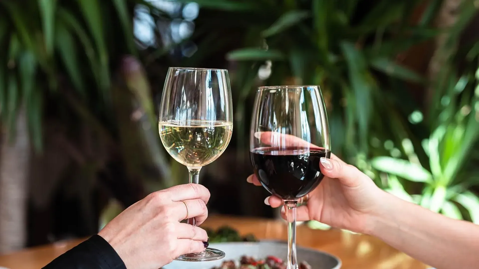 Kost Toronto | Booking, Info & Next Events