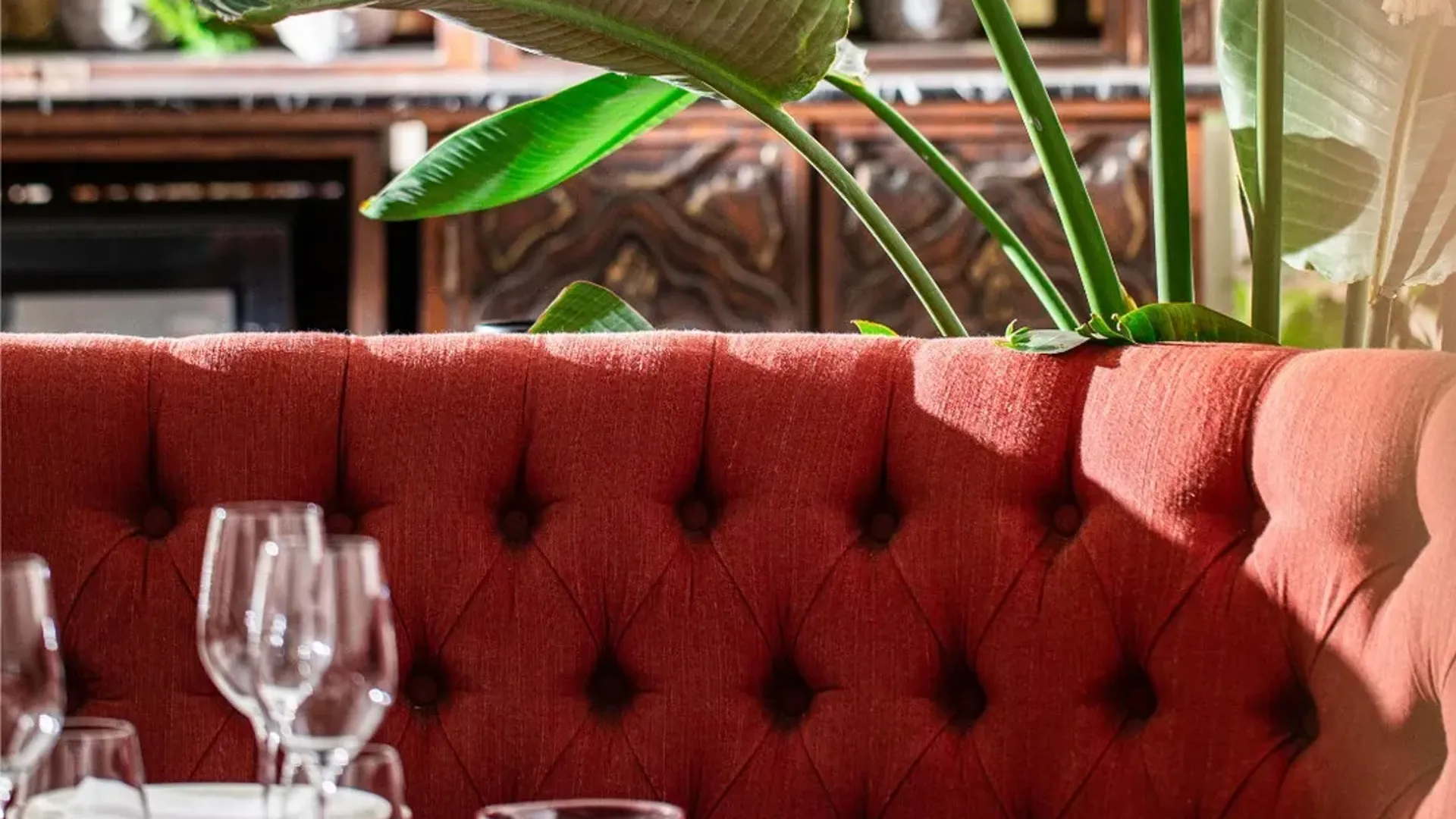 COYA Paris | Booking, Info & Next Events