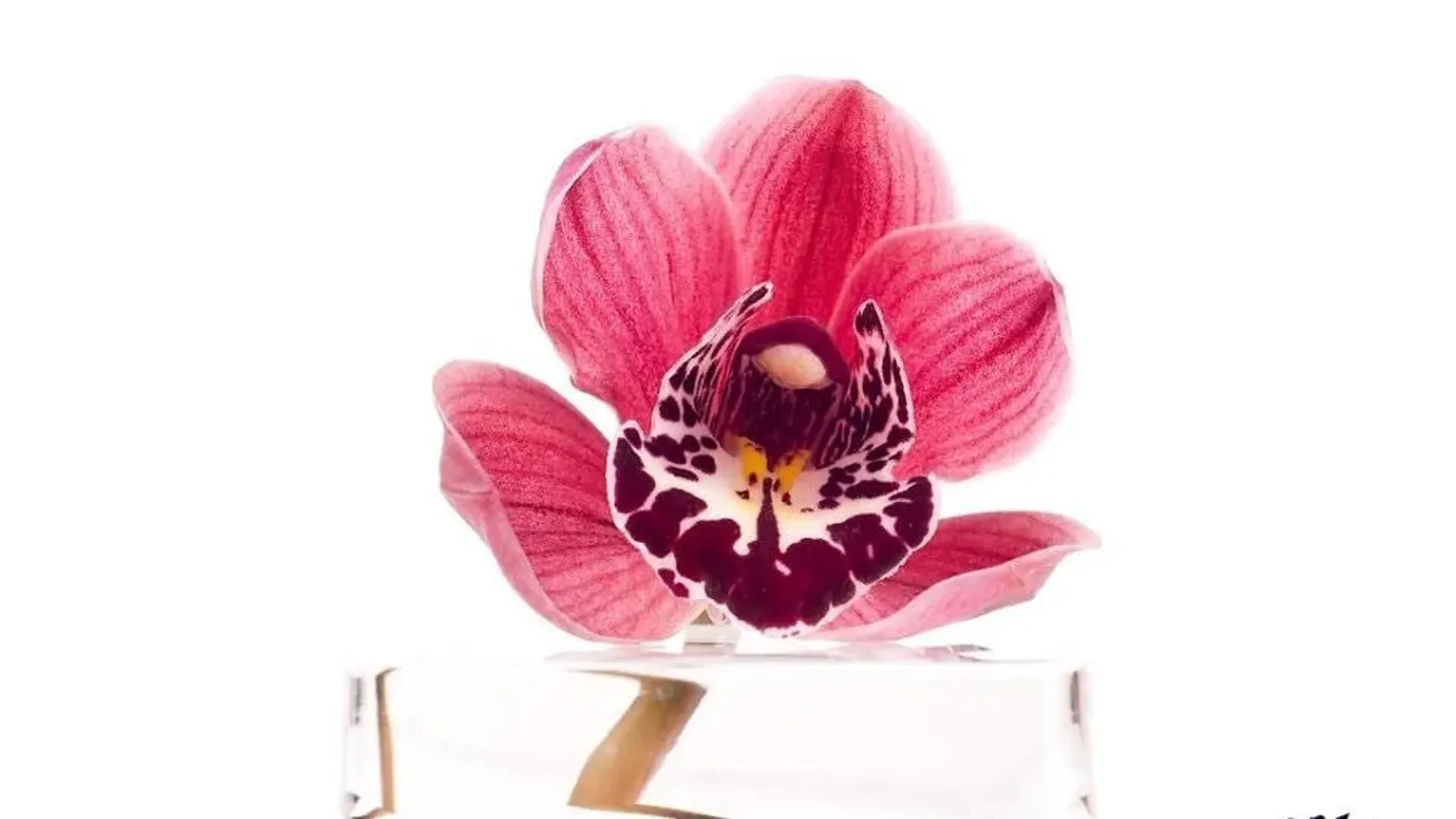 Blum Chicago | Booking, Info & Next Events