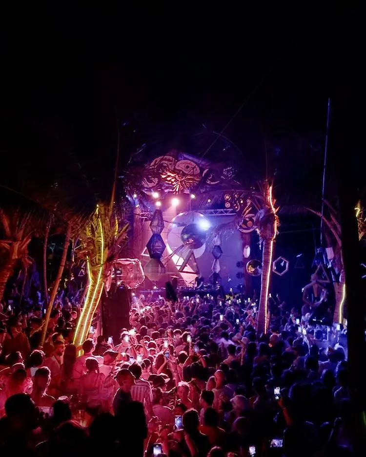 Papaya Playa Project Tulum | Reservations, Info & Next Events | Nox