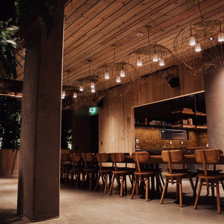 Osito San Francisco | Reservations, Info & Next Events | Nox
