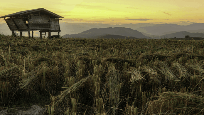 Tutorful - Learning Geography? Top Websites and Resources That Will ...