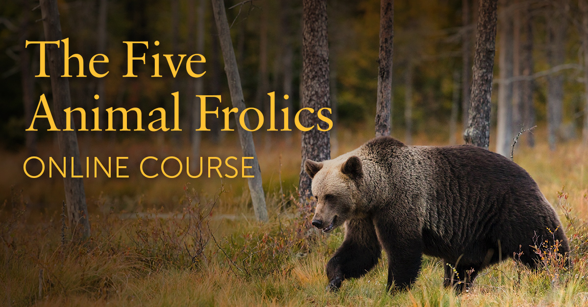 Watch Lesson 1 of the Five Animal Frolics Online Course for Free