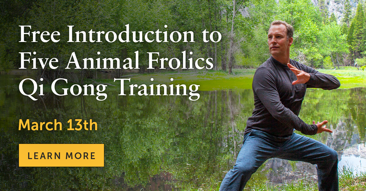 Free Introduction to Five Animal Frolics Training with Lee Holden