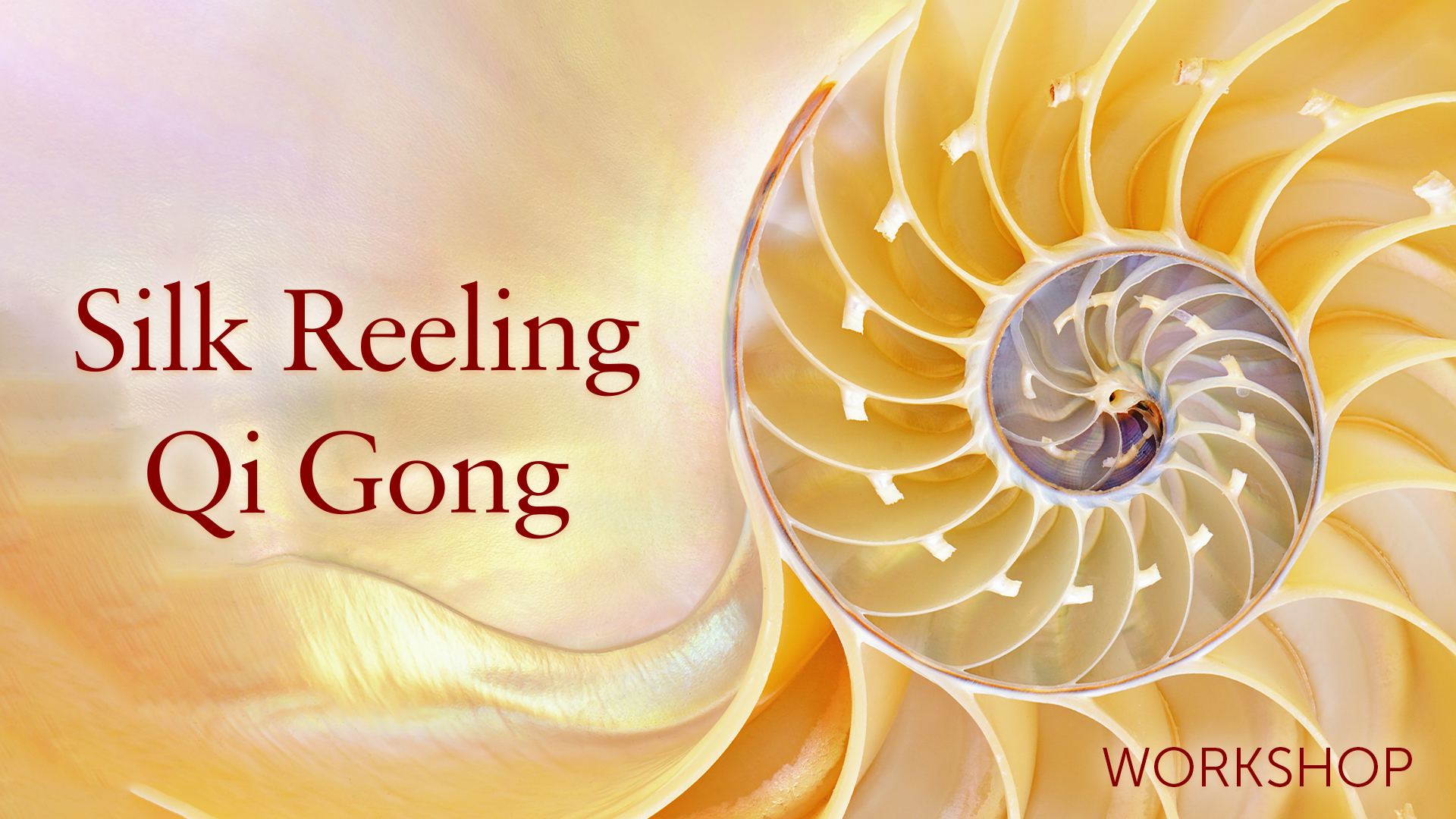 Silk Reeling Qi Gong Workshop with Lee Holden