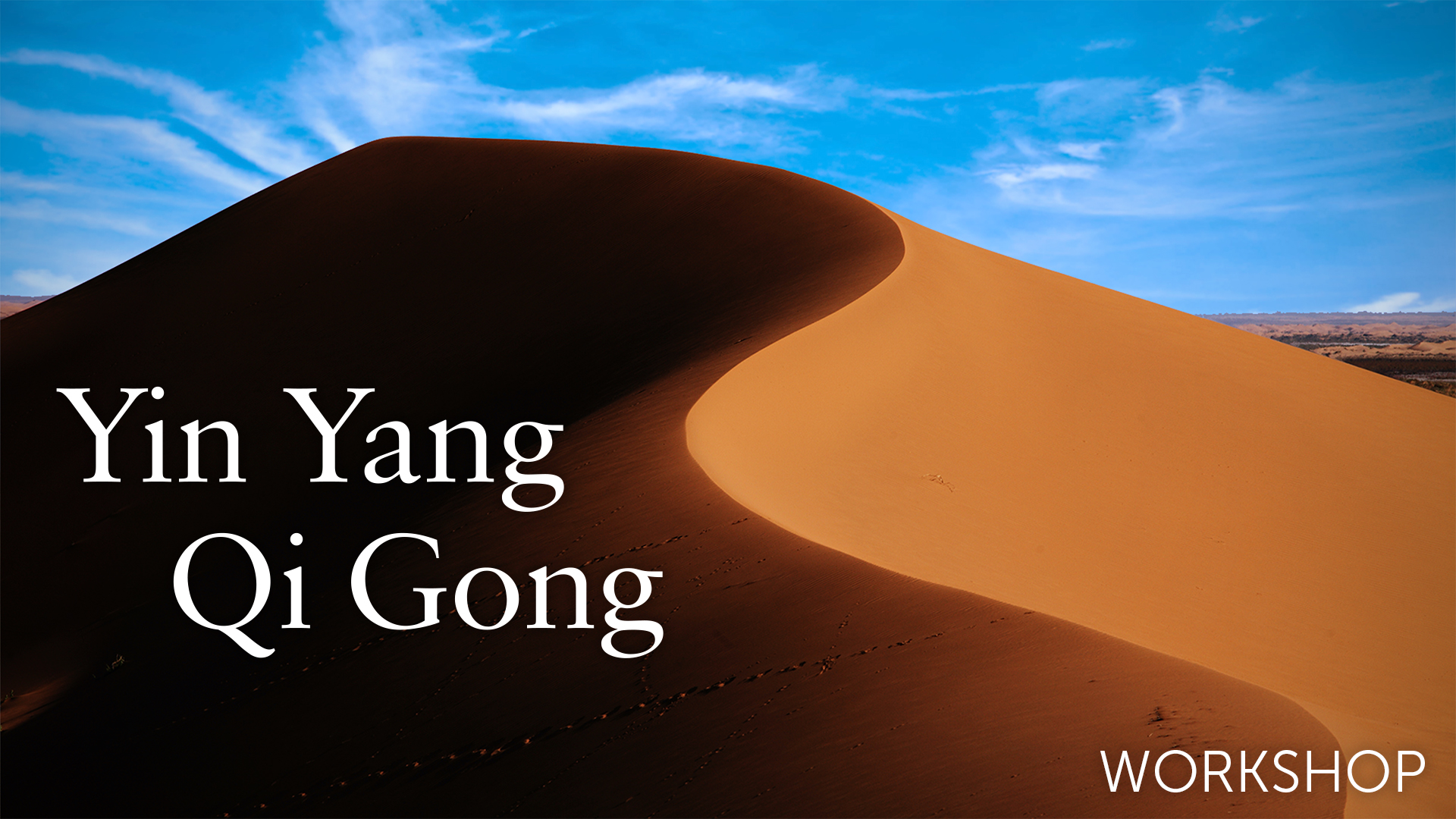 Yin Yang Qi Gong Workshop with Lee Holden