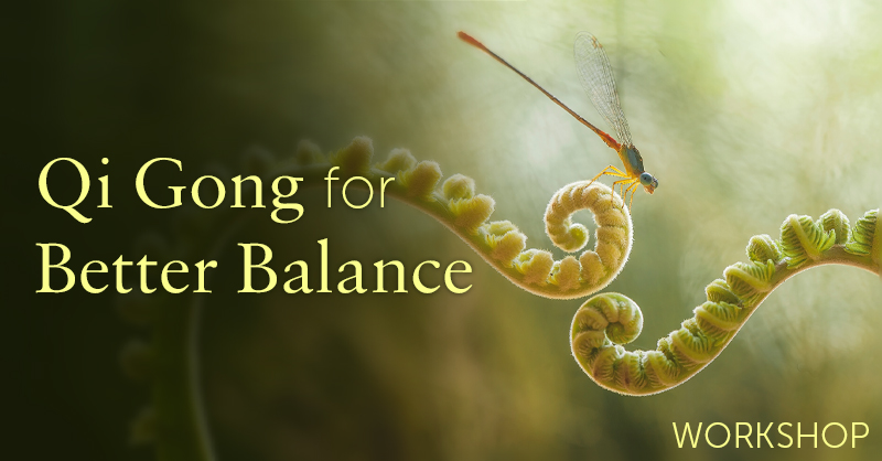 Qi Gong for Better Balance Workshop