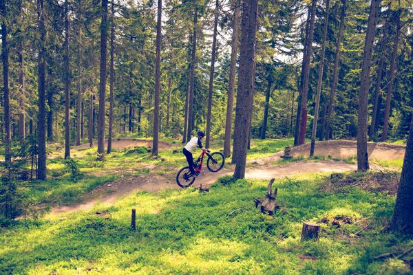 Wexl Trails - St. Corona am Wechsel