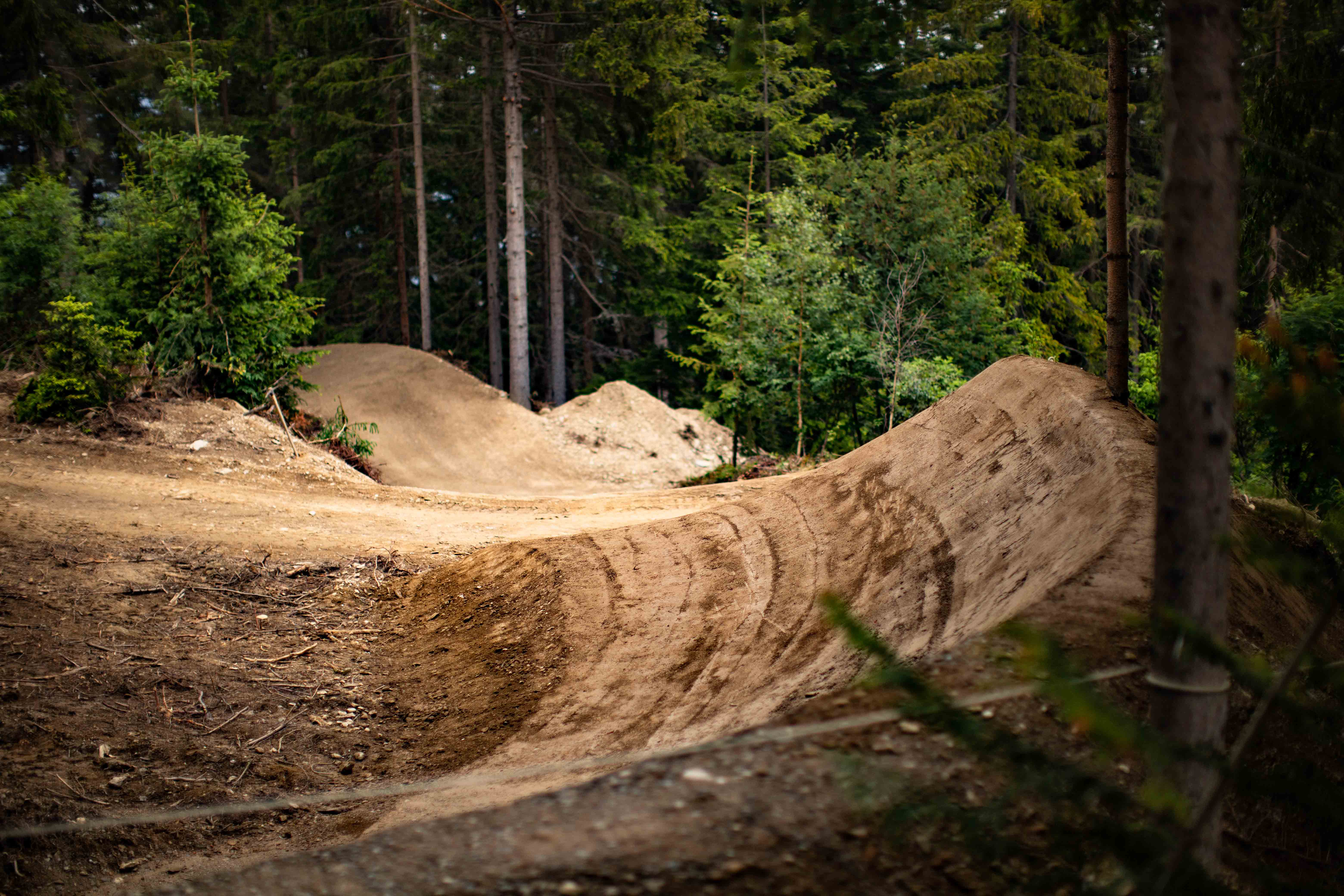 WEXL Trail Supporter - Wexl Trails St. Corona