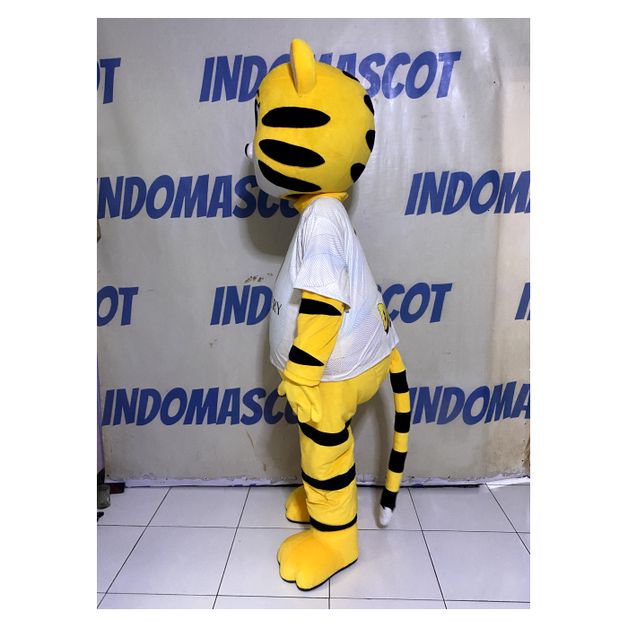 Custom Mascot Costume Specialist