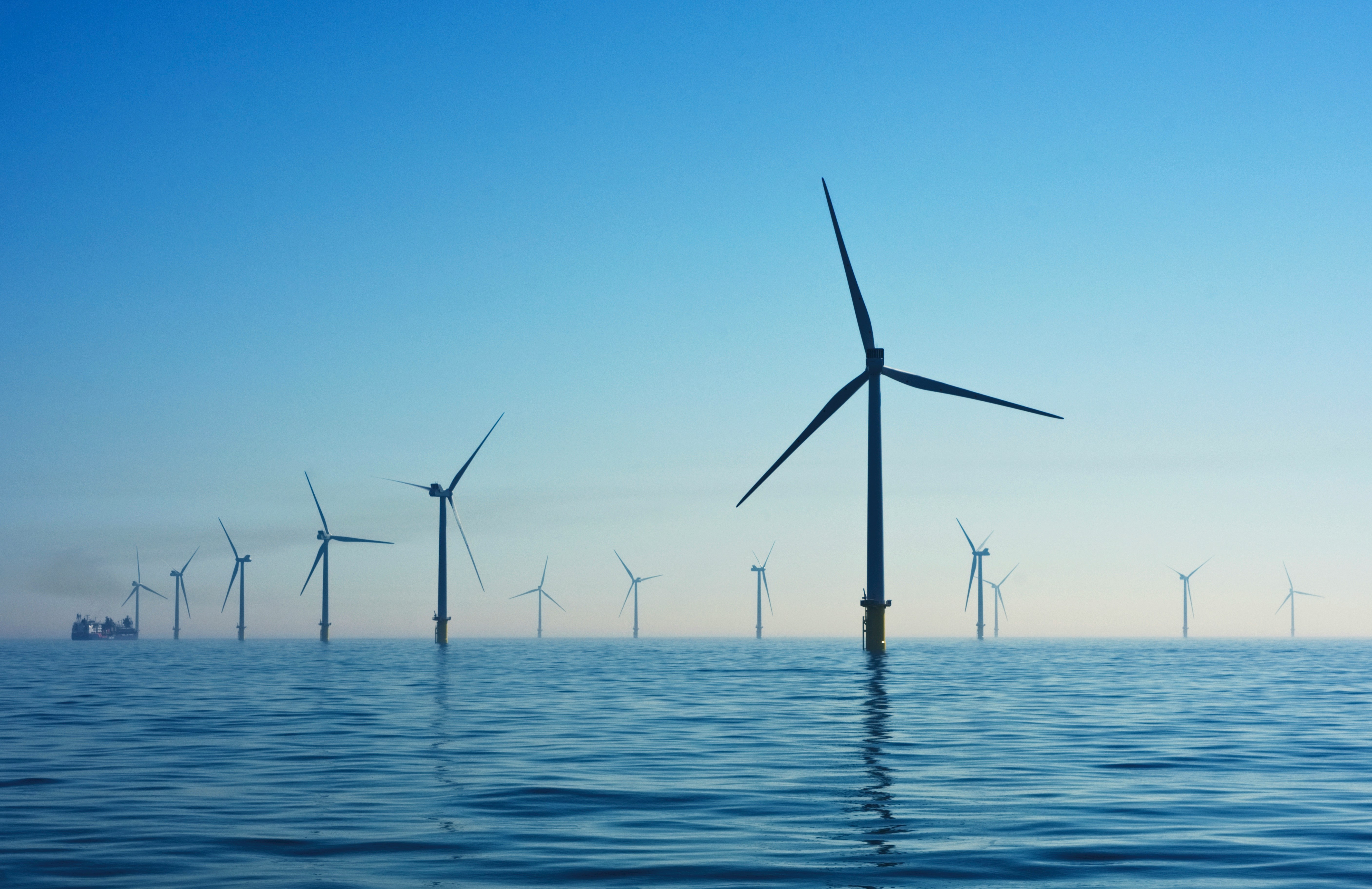 Harnessing the Wind: The Evolution of Ecological Monitoring at Sea.