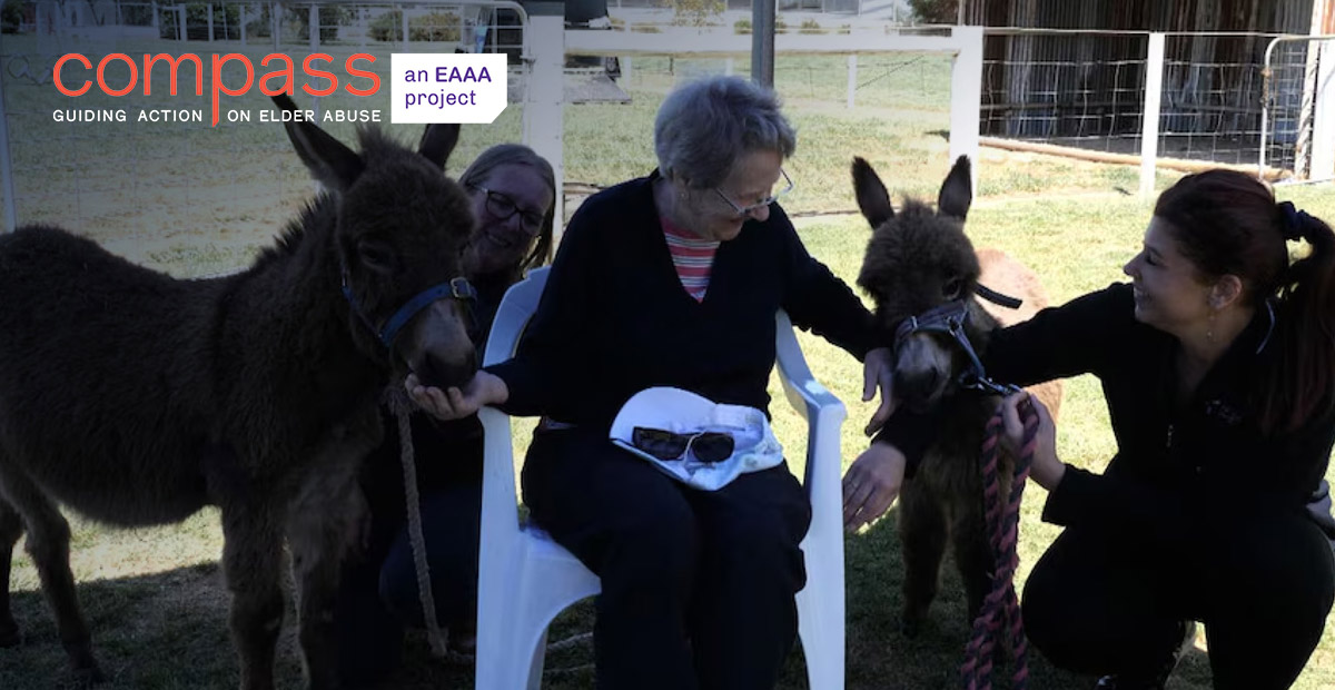 Donkeys train to become aged care therapy animals – Compass