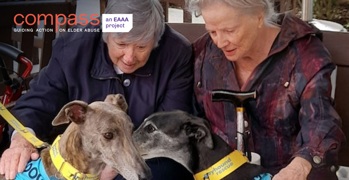 Dogs to the rescue for dementia - Compass