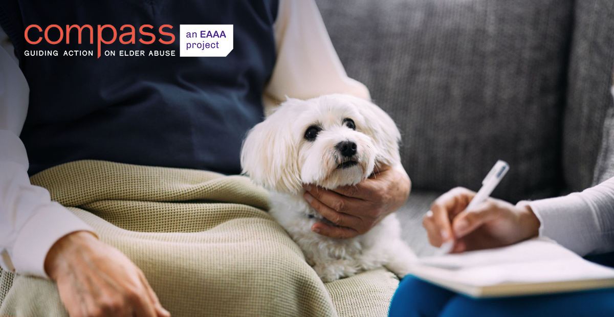 Townsville residents warned about pet scam - Compass