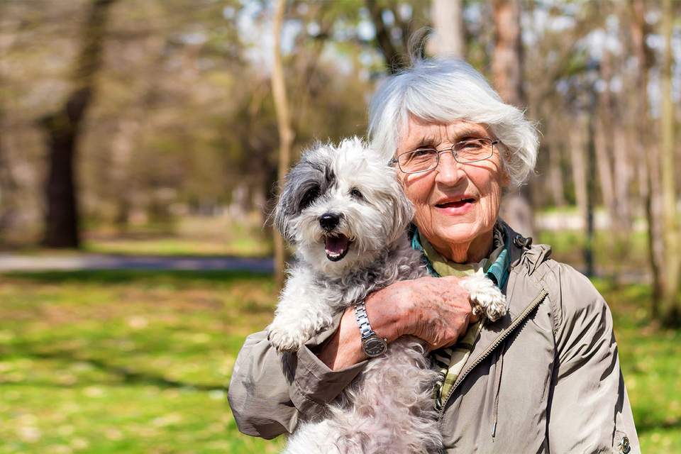 Pets for Older Persons – Compass