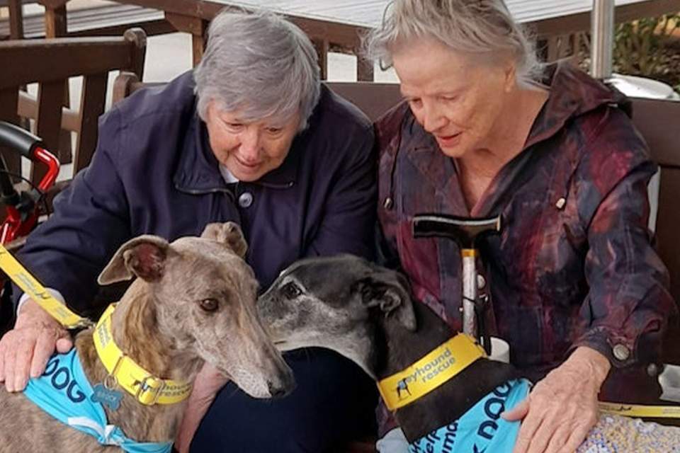Dogs to the rescue for dementia – Compass