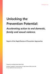 Unlocking the Prevention Potential: accelerating action to end domestic ...