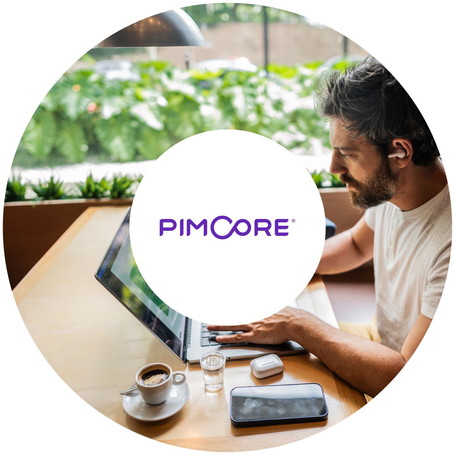 Pimcore Logo