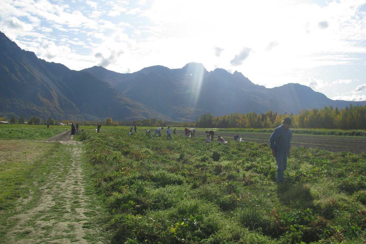 Alaska Farmland Wallpapers