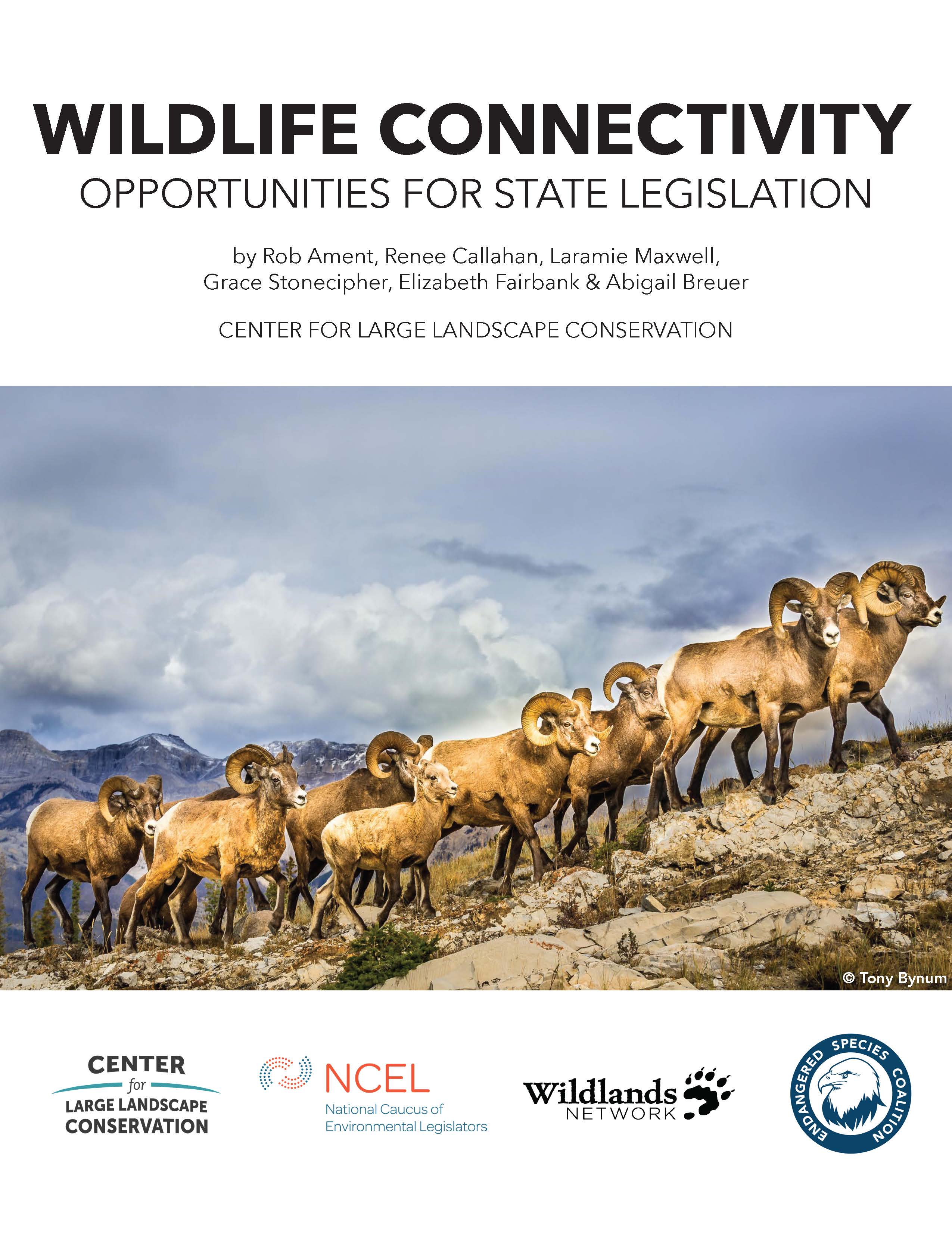 Wildlife Connectivity: Opportunities for Legislation - Land Trust Alliance