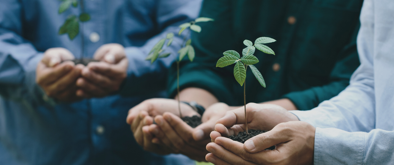 Comment investir dans une coopérative grâce au crowdfunding ? - WiSEED Blog Comment investir dans une coopérative grâce au crowdfunding ? - WiSEED Blog