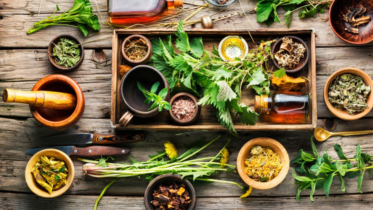 The Most Effective Natural Remedies for Menopause - Jude