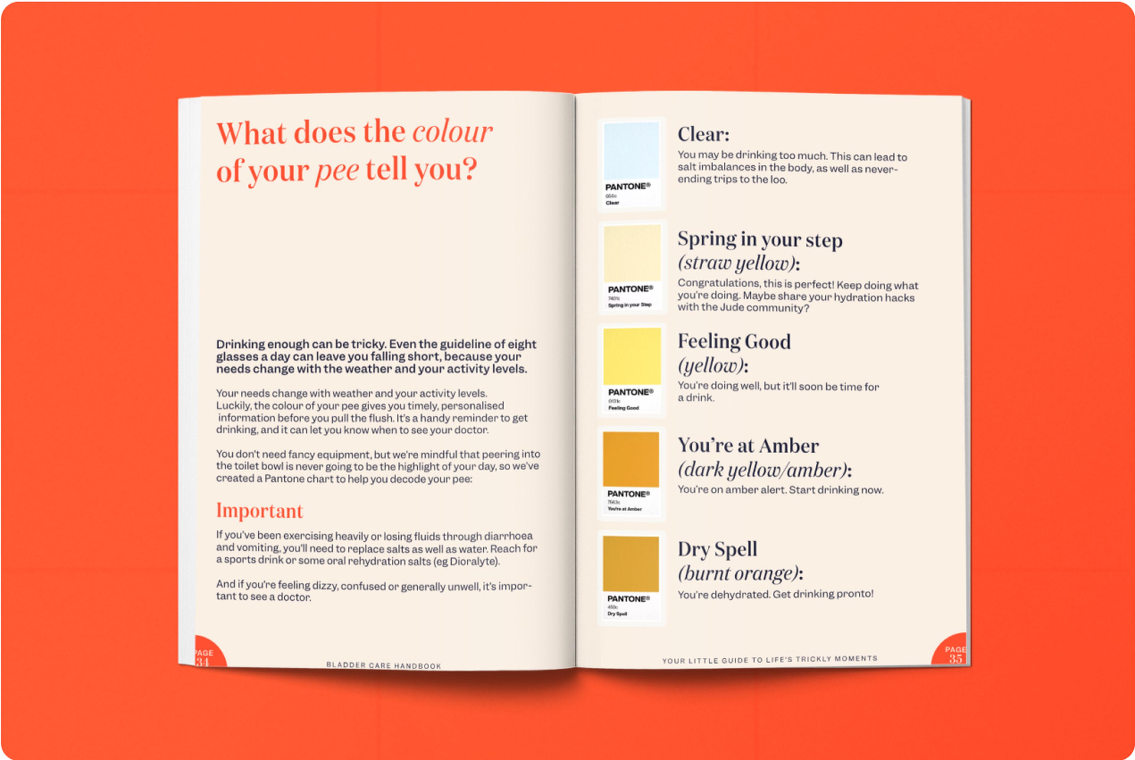 Bladder Care Handbook - Why Caring For Your Bladder Is So Important - Jude