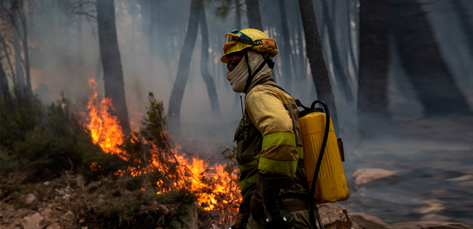 Cómo prevenir los incendios forestales