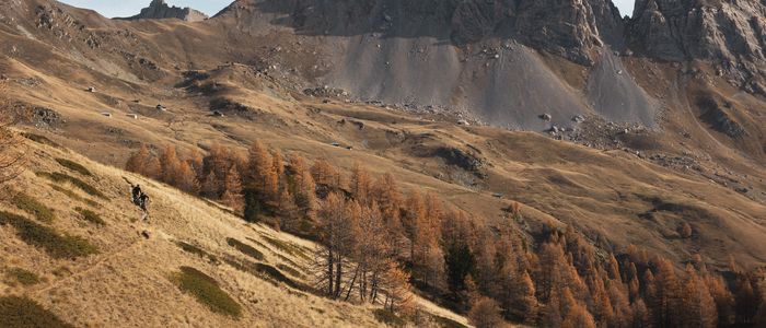 ion bike traze choose how you will be riding