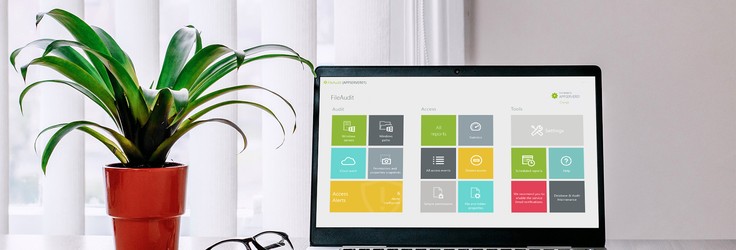 Windows File Auditing Log and More | FileAudit