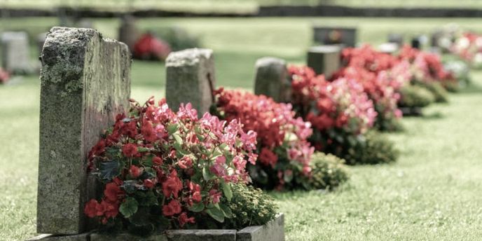 Exemples de fleurs pour une tombe selon la saison