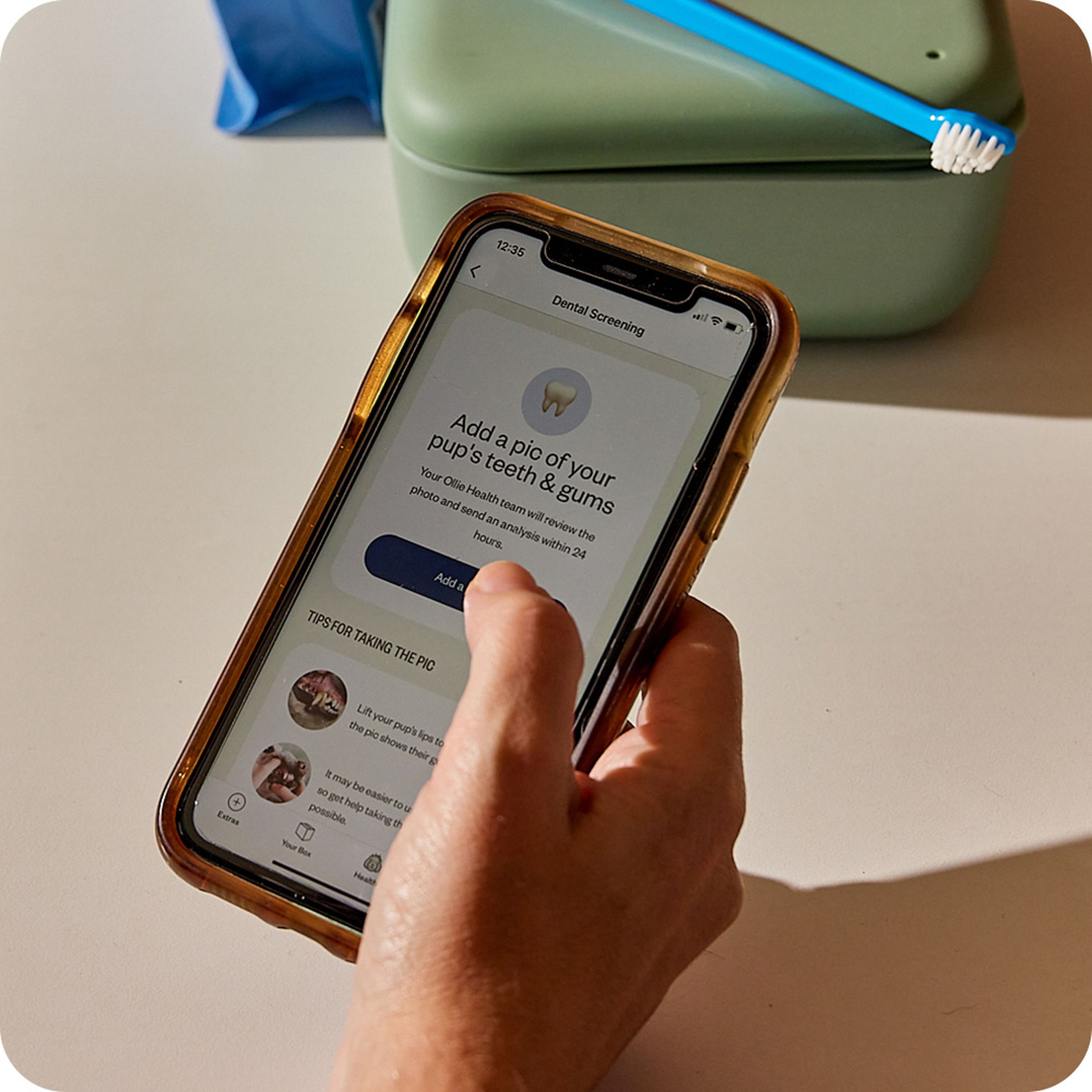 Ollie Health Screenings | Ollie