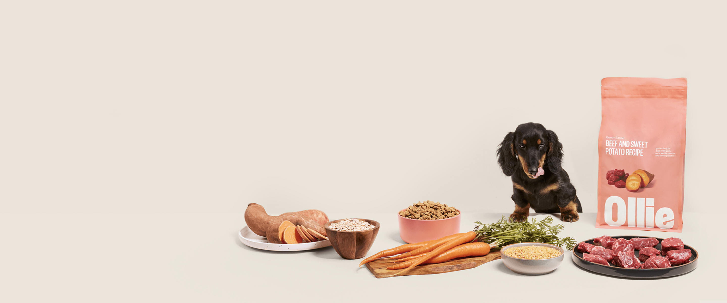 Baked Food For Dogs Ollie Baked Food For Dogs Ollie
