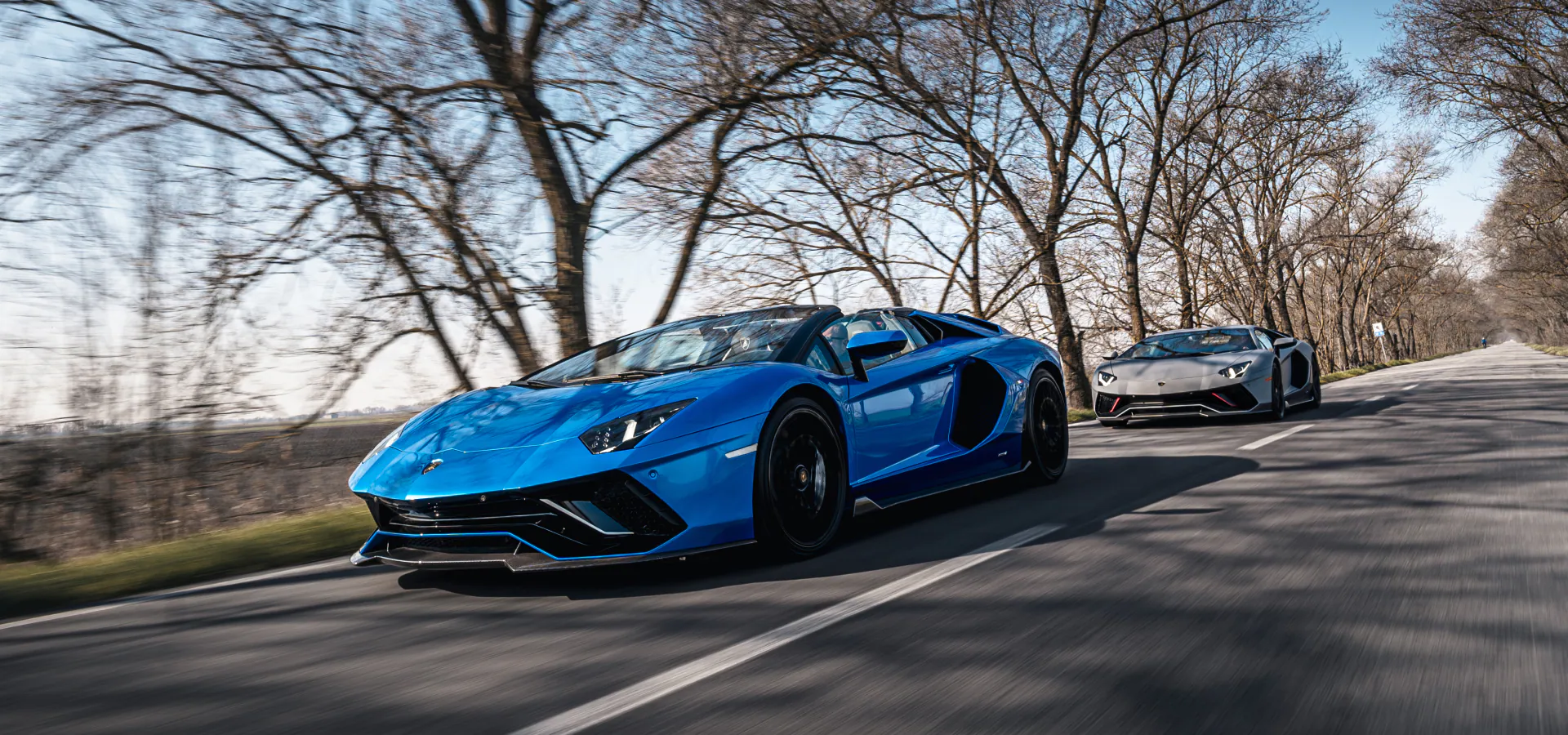 Custom Lamborghini Aventador Roadster