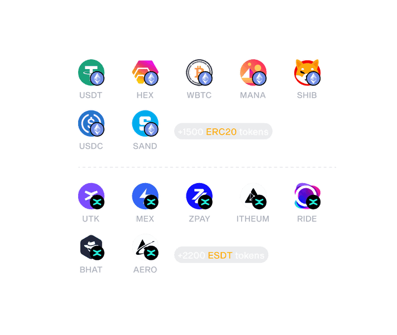 Coin Support | NGRAVE