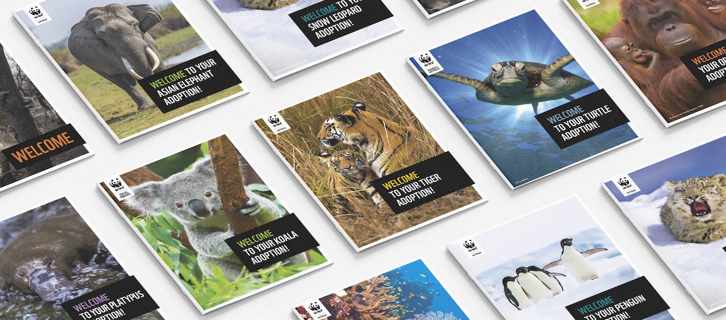 WWF-Australia Donor Welcome Journey: Engaging Onboarding & EDM Series