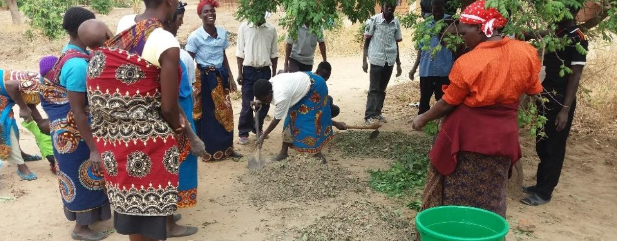 Roche | Income generating activities with ActionAid in Malawi