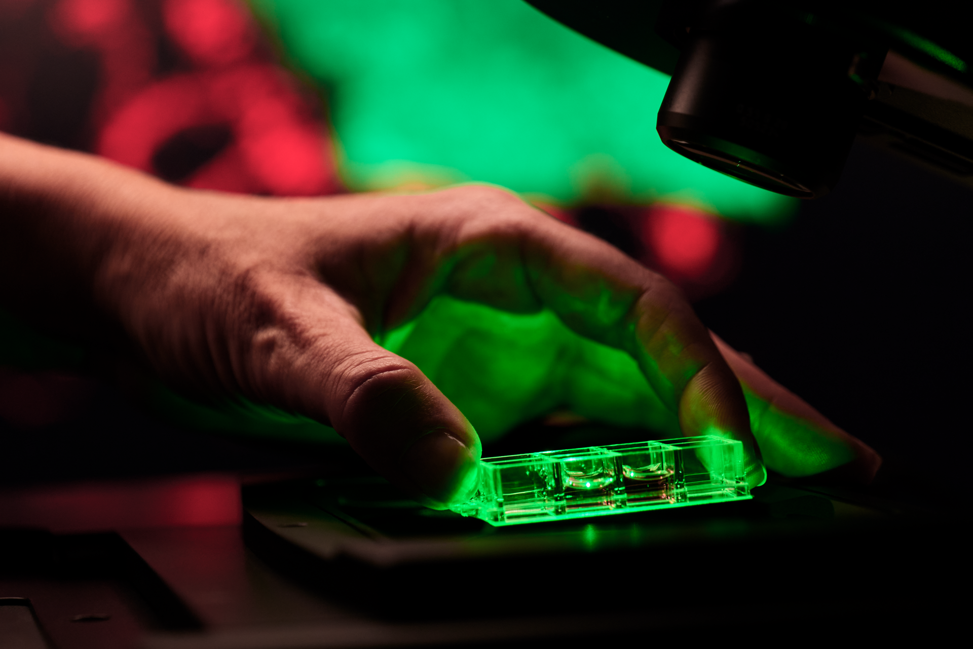 Roche | The science of Alzheimer’s disease explained