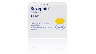 Roche | Rocephin (ceftriaxone)