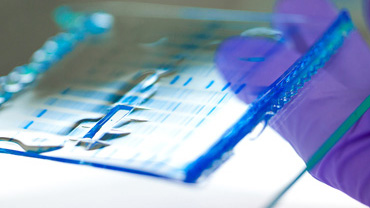 Roche | Genetics: A key component of innovation