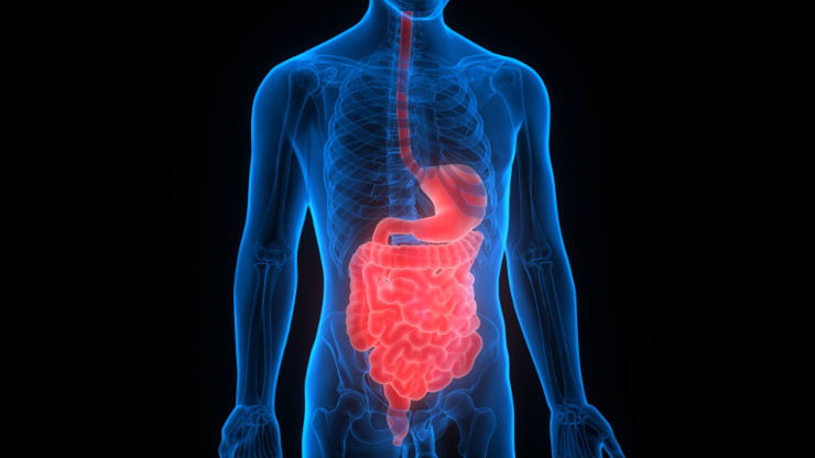 Roche | What is IBD?