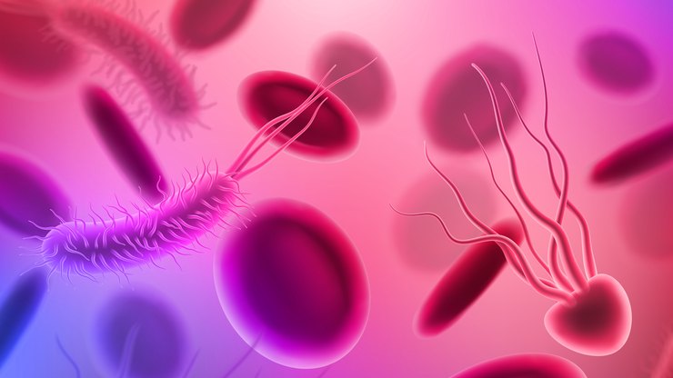 Understanding the role of the microbiome in IBD