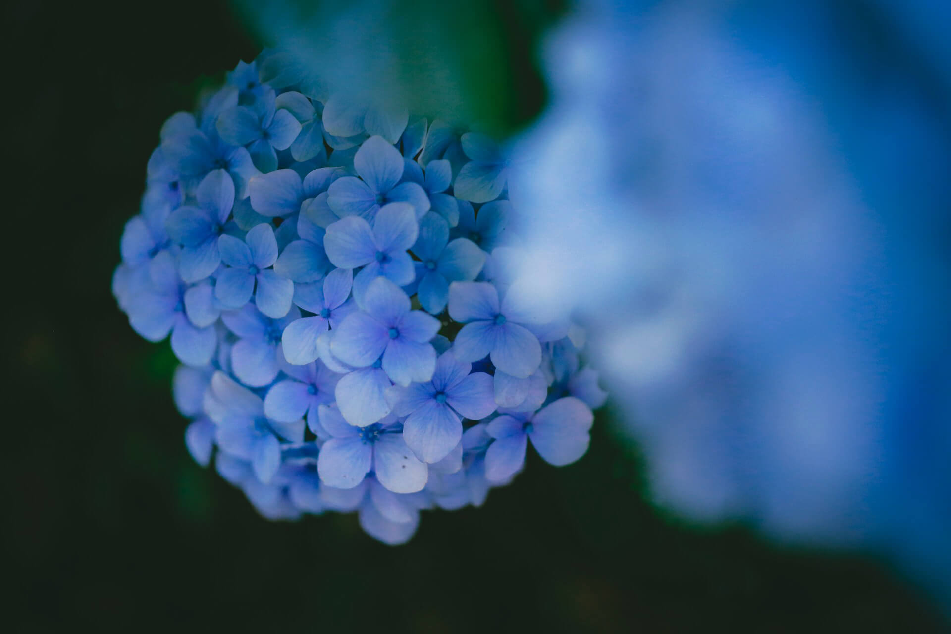 JUNIJ 2025 - Napoved in vodstvo | Blog | Mojca Gotlib