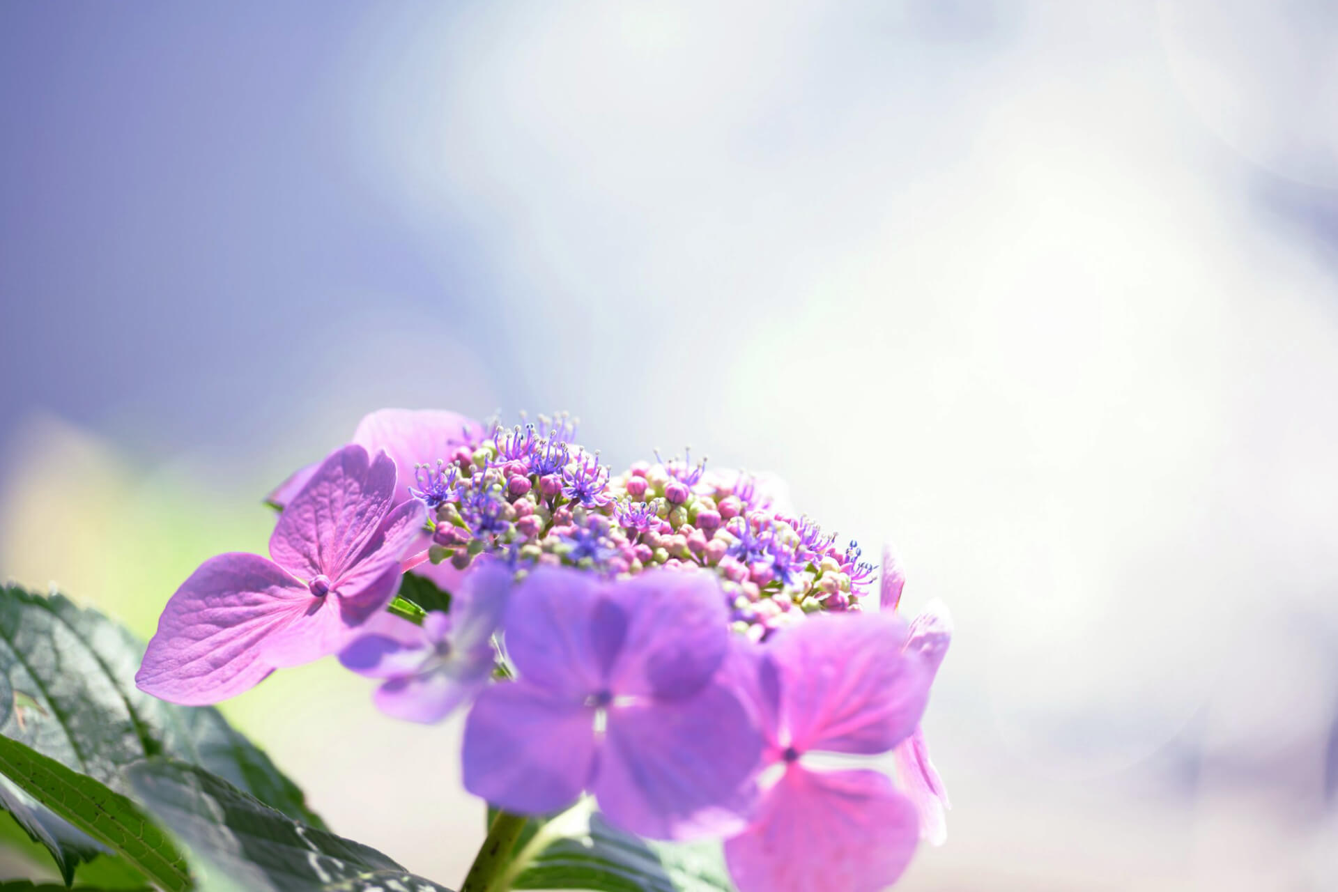 SEPTEMBER 2025 - Napoved in vodstvo | Blog | Mojca Gotlib