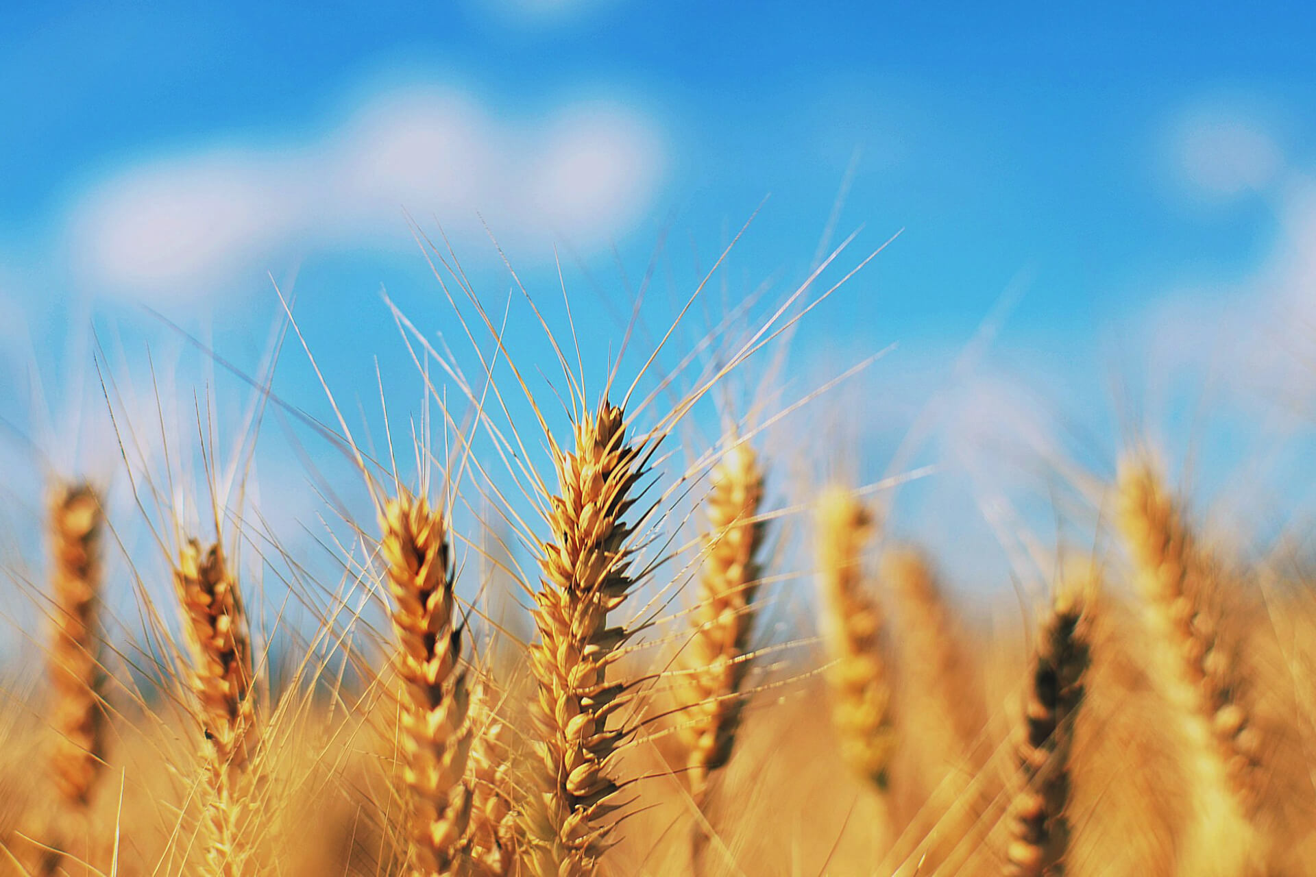 JULIJ 2025 - Napoved in vodstvo | Blog | Mojca Gotlib