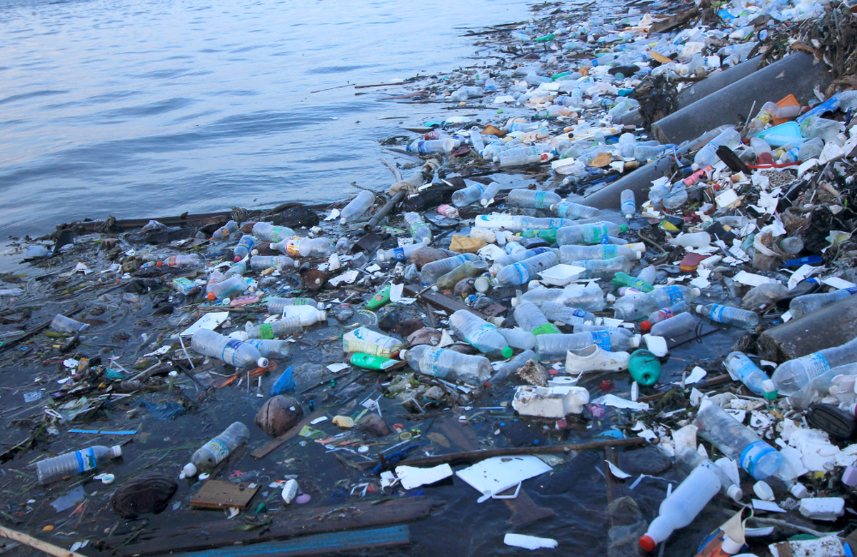 Earth Day 2024: How nature-based projects can help mitigate the plastic ...
