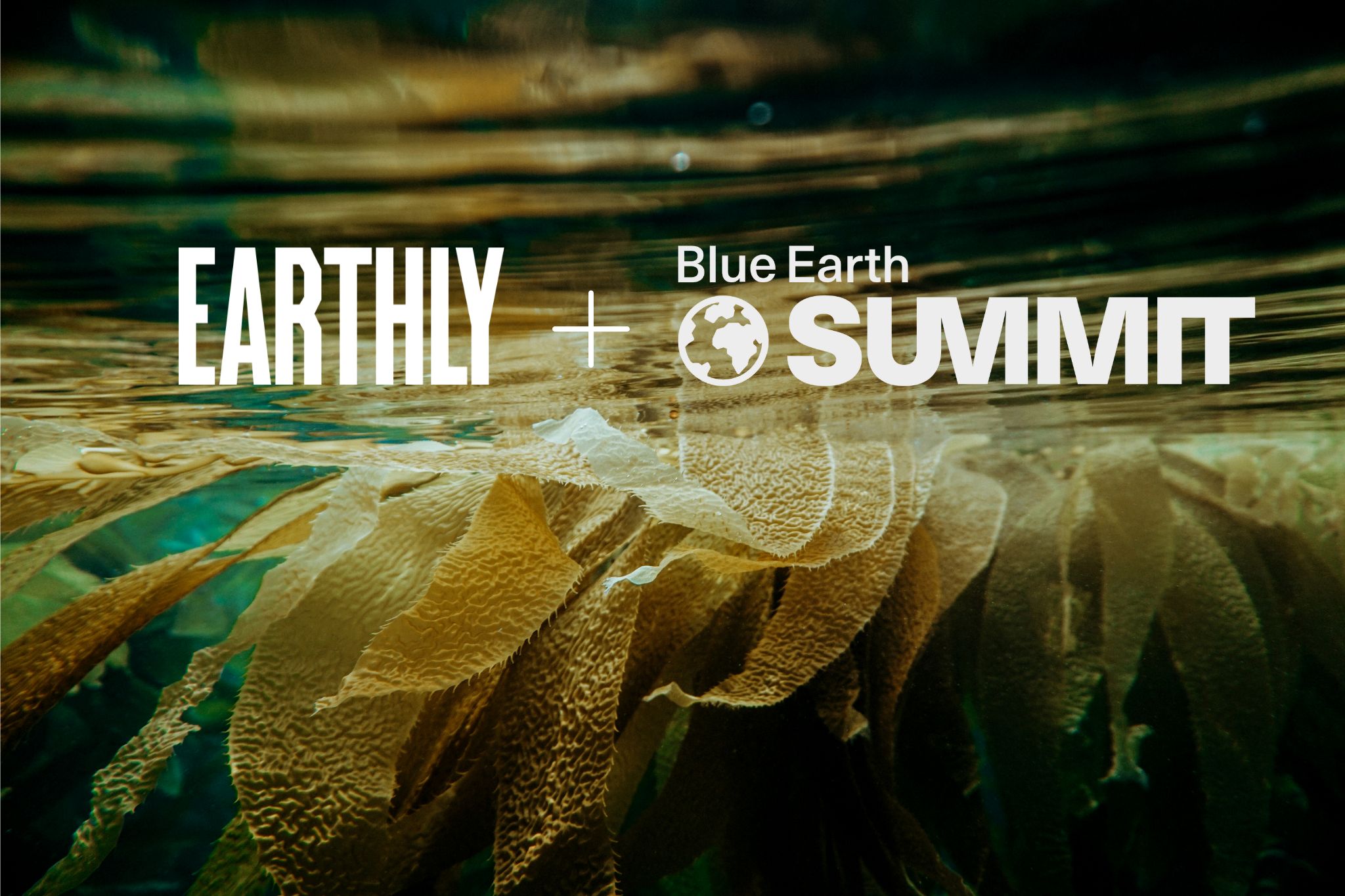 Earthly partners with Blue Earth Summit 2022