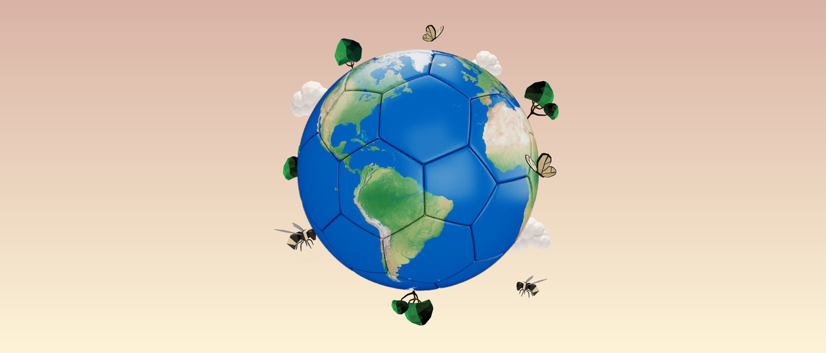 Sustainability in Sport | Earthly Blog