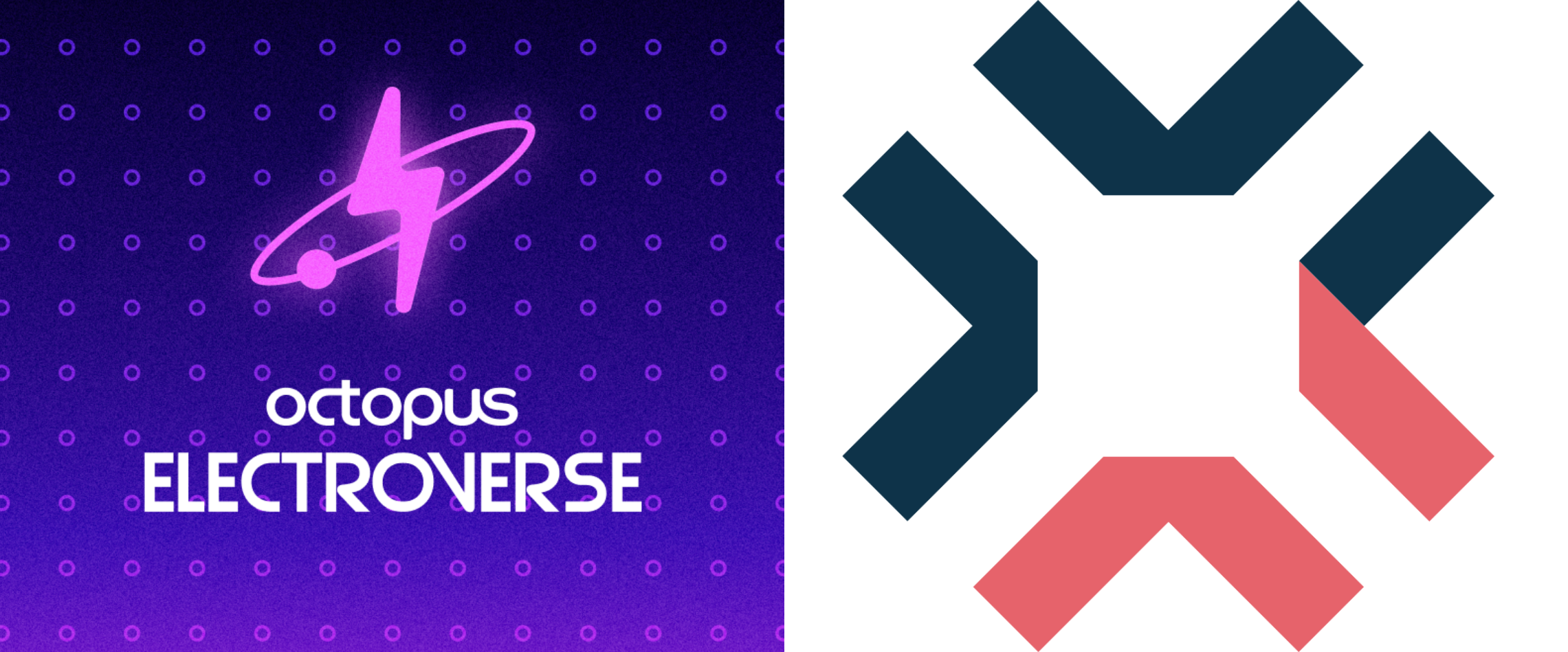 Electroverse from Octopus | Speak EV - Electric Car Forums