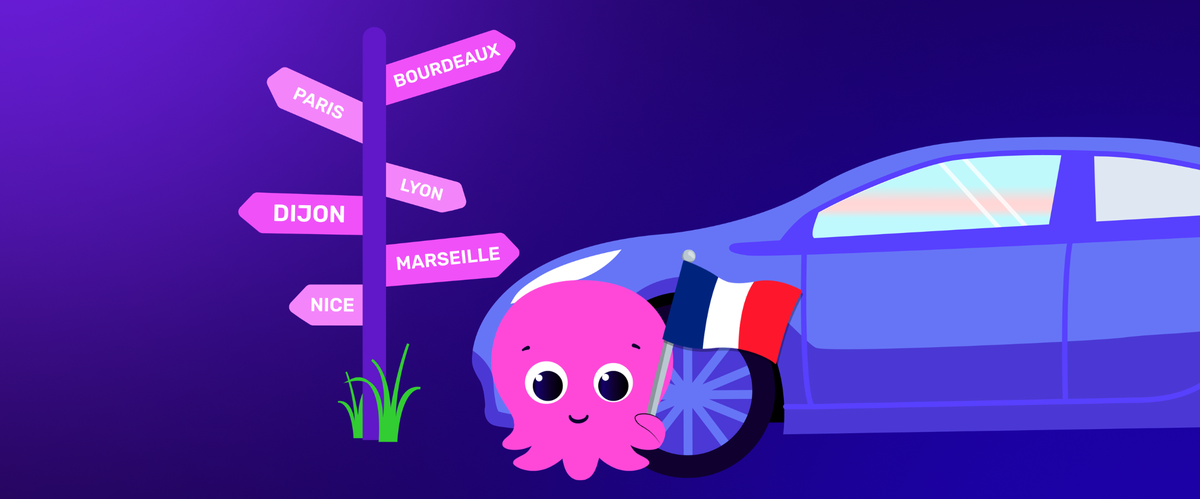 Driving an electric vehicle in France